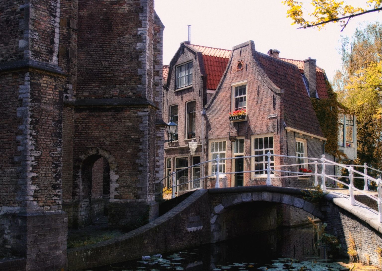 Lower And Deferred Tax On Stock Options: The Netherlands’ New Facility ...