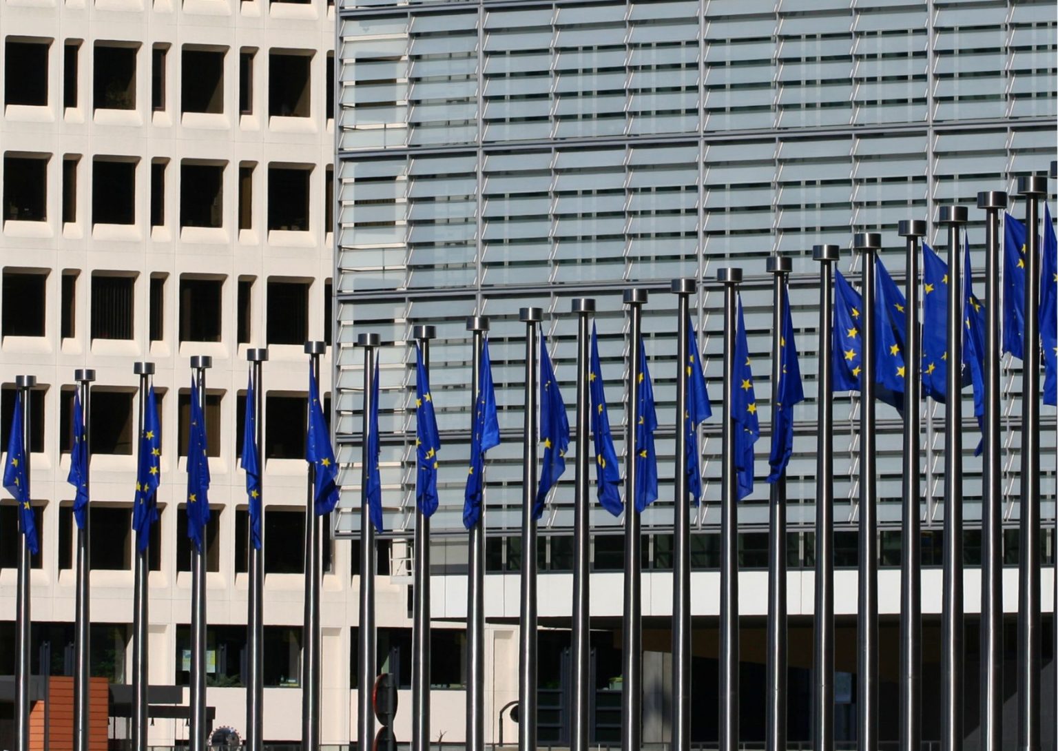 EU – Guidance On “AI systems”. Does An Elephantine Definition Matter?