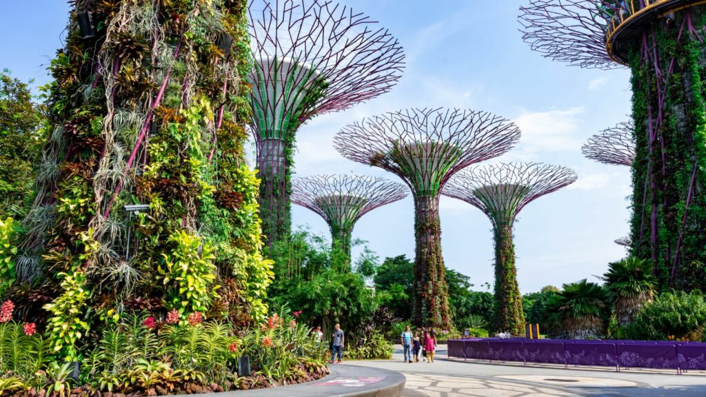Singapore - Employment Pass Rule Changes For 2026: What SMEs Need To ...